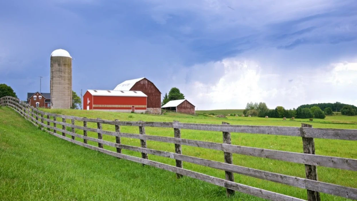 Ontario Helping Build Rural Community Leaders - Polite Canada