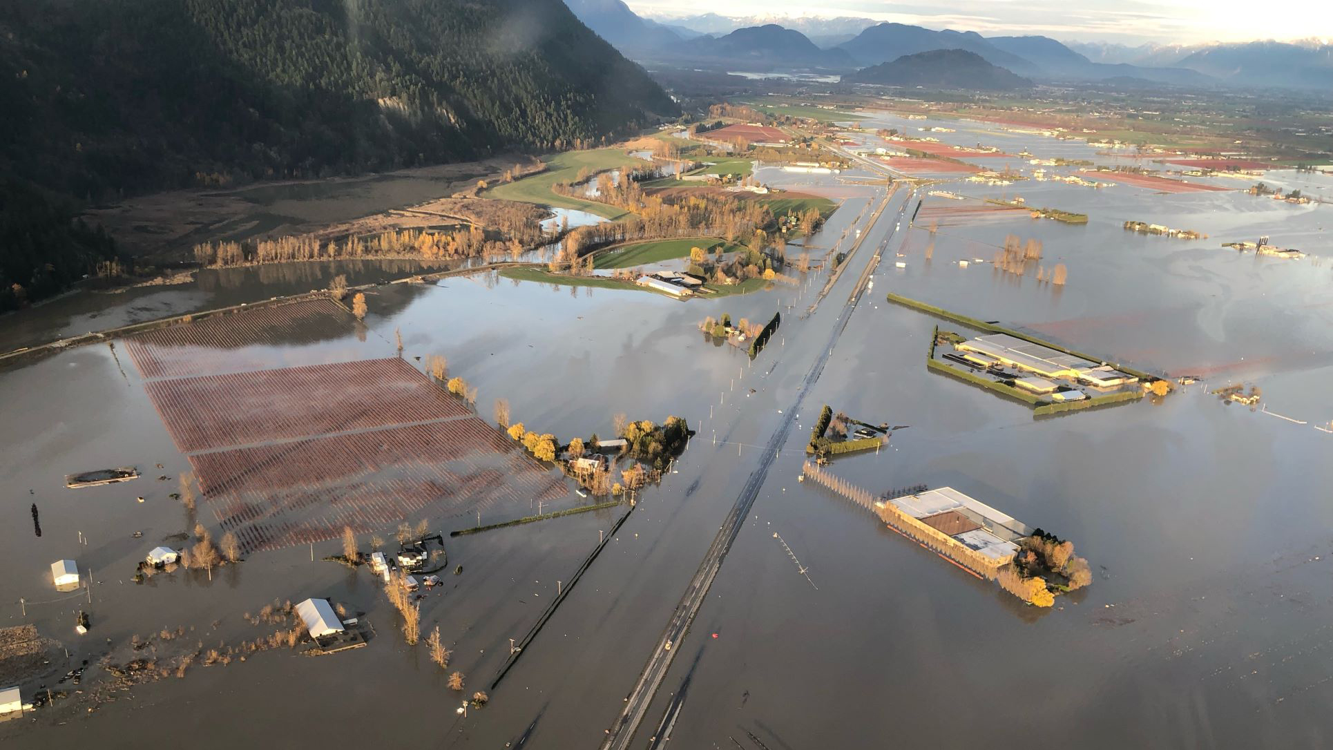 Endangering Canadian Agriculture & the Livelihoods of Farmers: Sumas ...