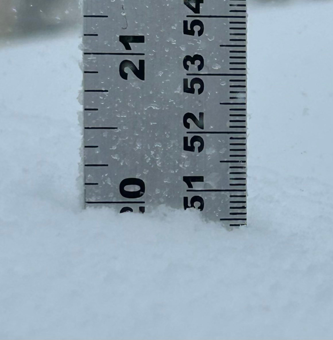 "Old guy with a ruler" becomes unlikely snowfall hero in Newfoundland ...